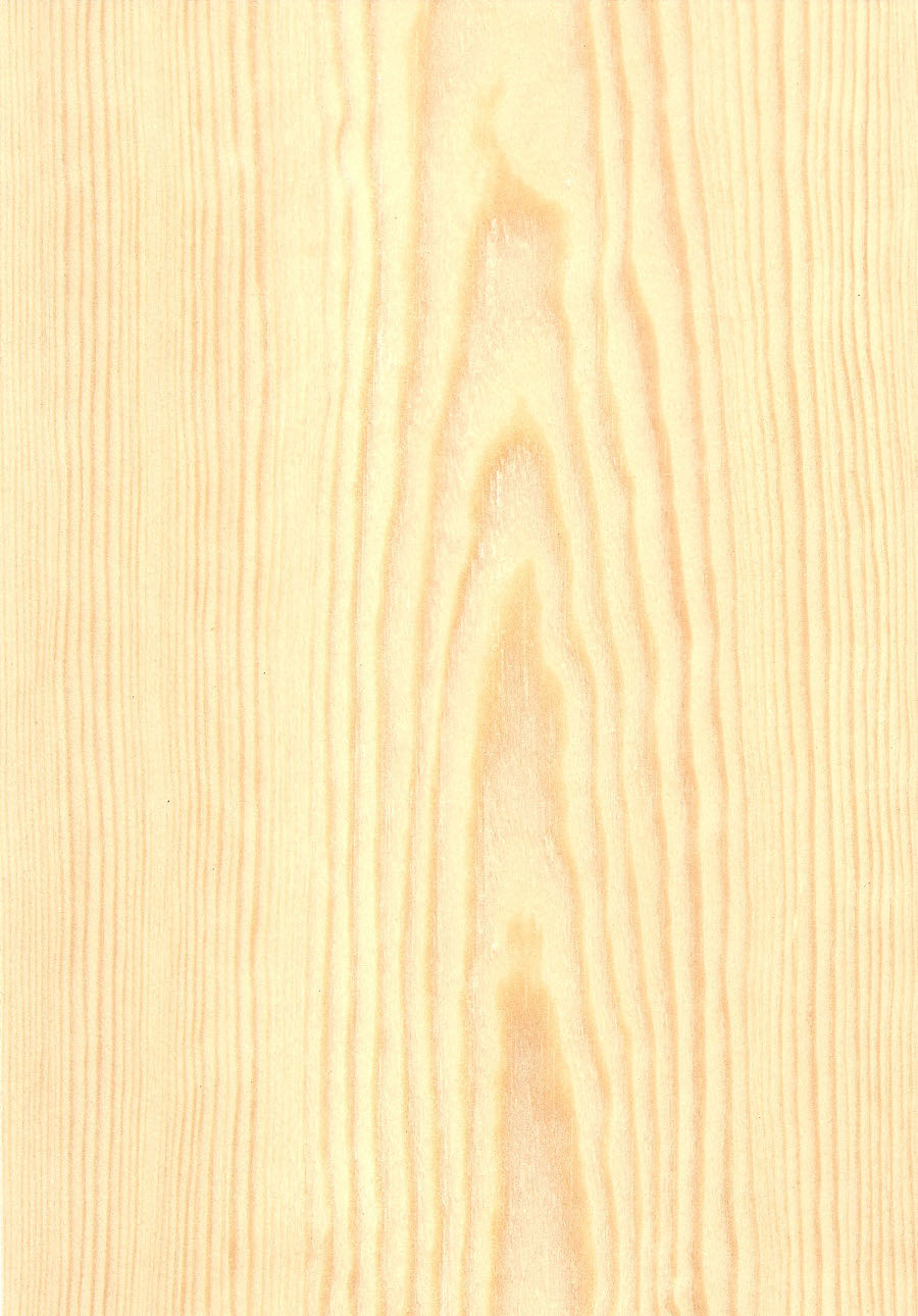 Pino Valsaín | Sobrado